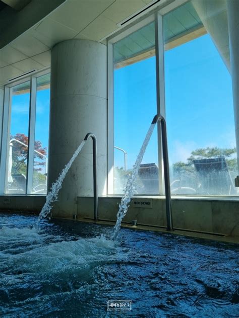 홍천 소노펠리체비발디파크 수영장and사우나and헬스장 네이버 블로그