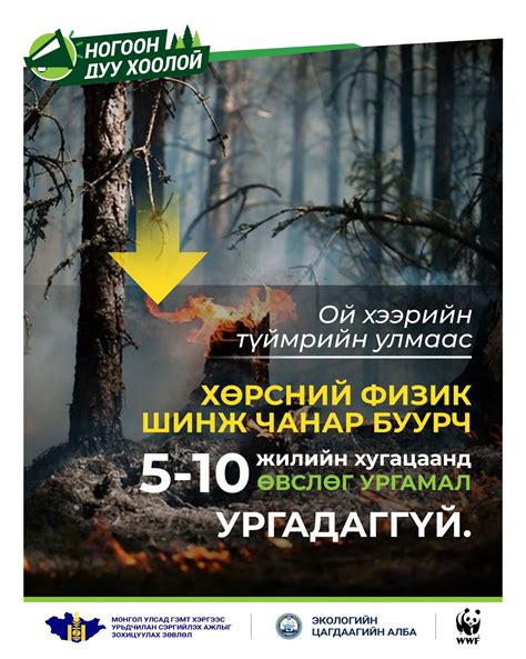Экологийн Ой хээрийн түймрийн 90 хувь нь хүний буруутай үйл ажиллагаанаас болдог Иргэн та