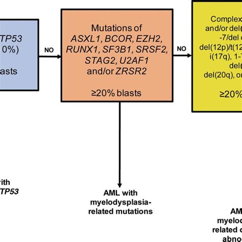 Algorithm For The Diagnosis Of Aml The Classification Is Hierarchical