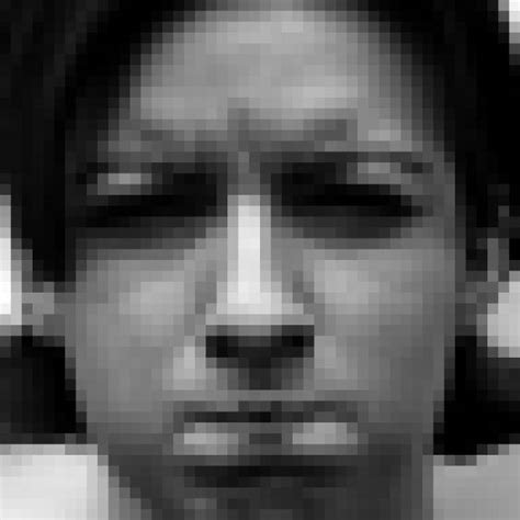 Emotion Classification Classification Dataset By Technological