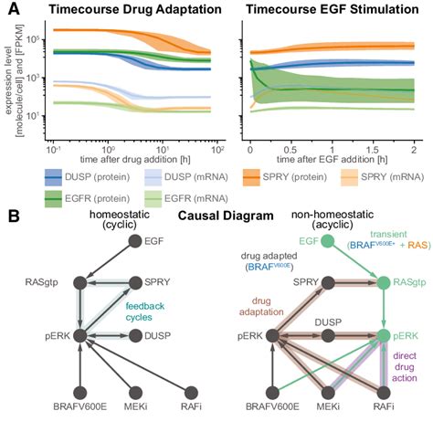 Transcriptional Feedback Imprints A Sparse Drug Adapted State A Download Scientific Diagram