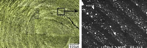 Microstructure Of The Composite Processed At 1200 Rpm 2 Pass Using A Download Scientific