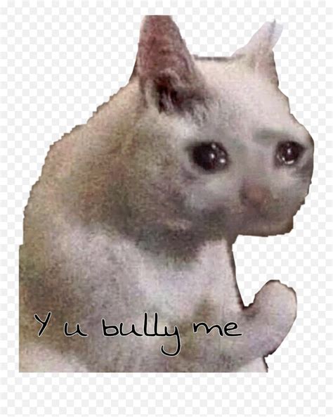 Download Sad Cat Pictures Meme Png U0026  Base Gato Sad Meme Png