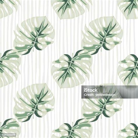 몬스 테라는 매끄러운 패턴을 남깁니다 이국적인 정글 식물 끝없는 벽지 잎 배경입니다 하와이 열대 우림 꽃 배경 관목에 대한 스톡 벡터 아트 및 기타 이미지 Istock