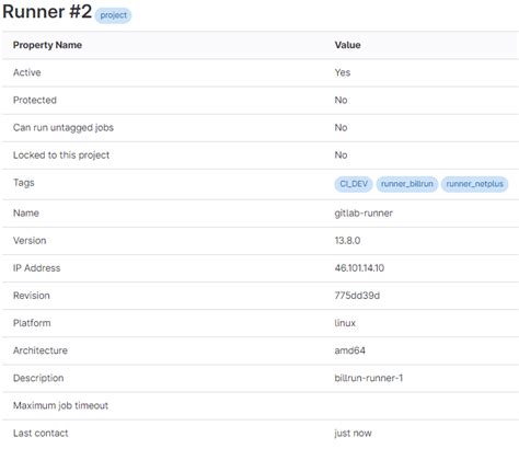 I Have To Configure Runner In Such A Manner That It Will Run Only One