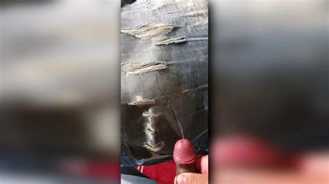 Ich Komme Wieder Auf Die 501 Jeans Meines Levis Xhamster