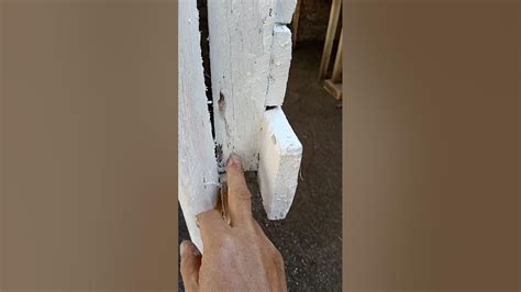 Універсальна клітка для кроликів своїми руками Youtube