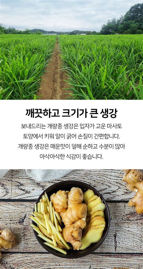경북 영주 세척생강 특품 2kg 25년햇생강