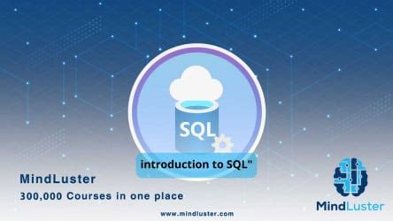 SQL For Everyone Your Guide To Mastering Data Analysis Mind Luster