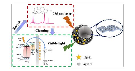 Prepared Three Dimensional Flowerlike Mos2agrgo Nanocomposite As A