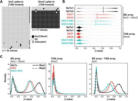 Tab Array Data Analysis A Bisulfite Genomic Sequencing Bgs Of Download Scientific Diagram