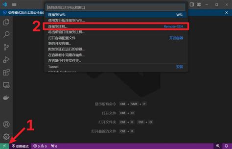 通过vscode Ssh远程连接ubuntu搭建platformio开发环境nvidia Jetson Patricks Blog