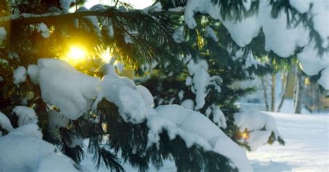 ¿cuándo Inicia El Invierno 2023 Infórmate Y Más