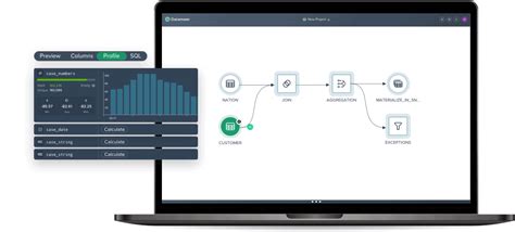 Snowflake Ad Hoc Analysis What They Dont Tell You Datameer
