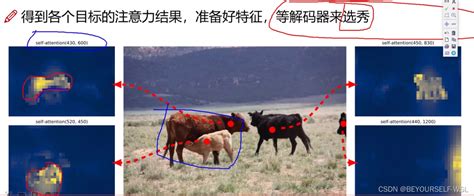 大白话detr Transformer Detection 解读 Deta Transformer Csdn博客