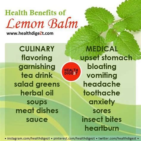 Health Benefits Of Lemon Balm Cold Home Remedies Natural Health