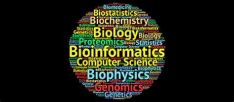 Bioinformatics Research Services At ₹ 10000month In Nagpur Id