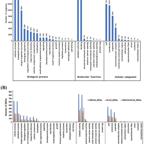 Histogram Representation Of Gene Ontology Go Classification Annotated Download Scientific