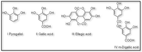 Latest Advancements In The Development Of High Performance Lignin And Tannin Based Non