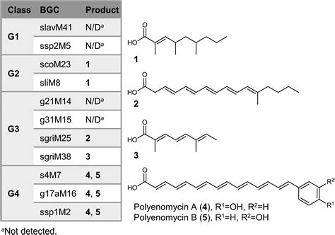 Correction For Wang Et Al Unraveling The Iterative Type I Polyketide Synthases Hidden In