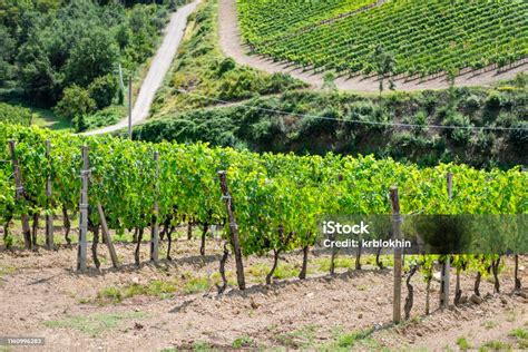 투 스 카 니에서 발도 르 치아 시골 이탈리아 롤링 녹색 언덕과 농장 풍경 와이너리 포도밭 포도 덩굴 행 목가적인 그림 같은 마을에 0명에 대한 스톡 사진 및 기타 이미지