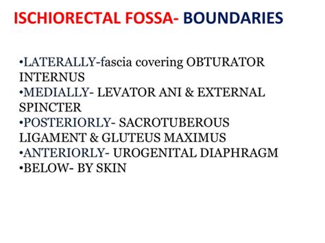 Perianal Abscess And Ischiorectal Abscess Pptx Digestive Disorders Diseases And Conditions