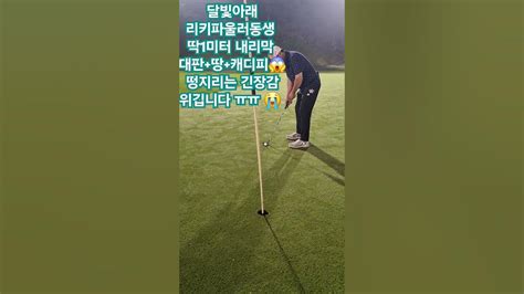 대판땅캐디피😱골프레슨아이언레슨필드레슨골프골프존퍼터퍼팅퍼터레슨퍼팅레슨비거리레슨드로우샷페이드샷드라이버샷레슨루틴숏게임숏게임레슨필드숏게임루틴