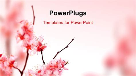 Ppt Template Spring