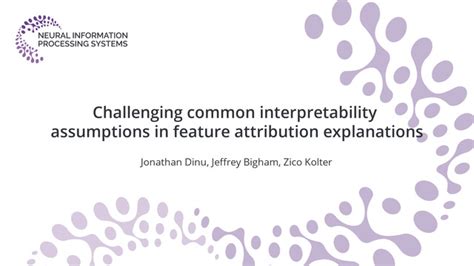Jonathan Dinu Jeffrey Bigham Zico Kolter · Challenging Common Interpretability Assumptions In