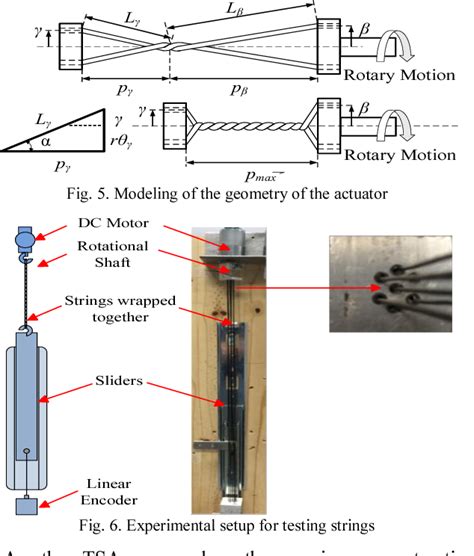 Figure 1 From Modeling And Control Of A Bidirectional Twisted String Actuation For An Upper Arm