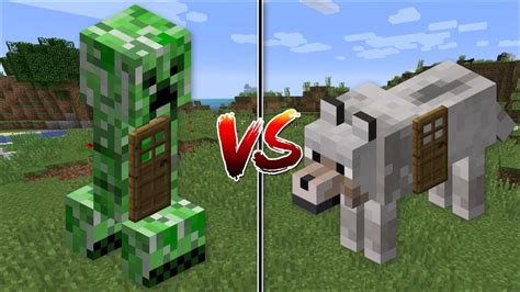 House Creeper Emsekflolcom