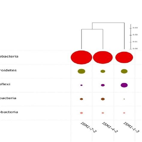 Unweighted Pair Group Method With Arithmetic Mean Upgma Clustering Of