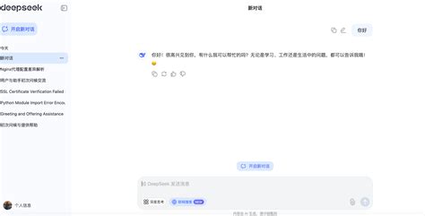 【gpt系列】deepseek使用 deepseek codegpt csdn博客