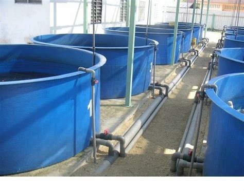 Kfg Frp Fiberglass Fish Tank Packaging Type Wooden Box Size Large