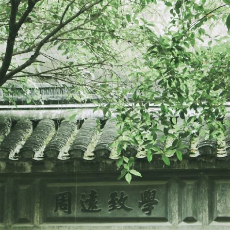 我行过江南 见过百花 无一胜你 一颗肉利