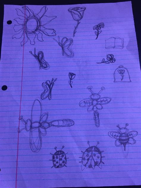 Bug Doodles