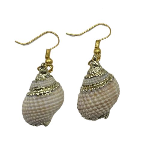 Gold Trim Seashell Earrings Golden Hooks Seashell Story Kaikoura