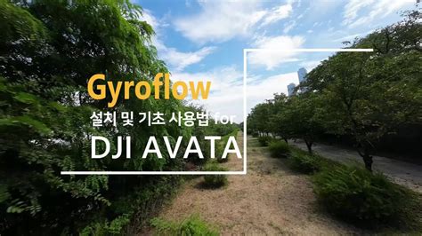 Dji 아바타아바타2 구매하셨다면 필수 설치 프로그램 자이로플로우 설치 및 기초사용법 Youtube