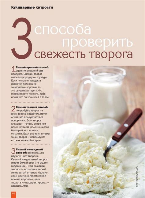 Три способа проверить свежесть творога Кулинария Питание рецепты Еда