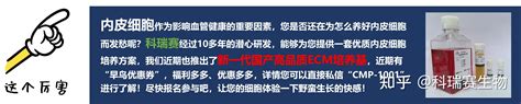 Nature子刊综述 Vegf信号：血管健康的 双刃剑”，内皮细胞的命运指挥官 知乎