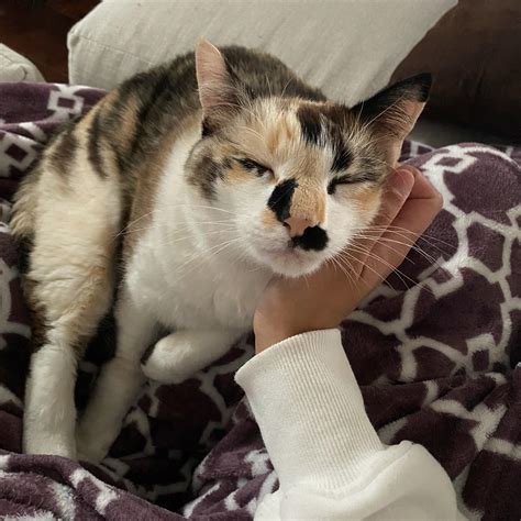 Perfect Rainy Day Date Ft Ruby R Catpics