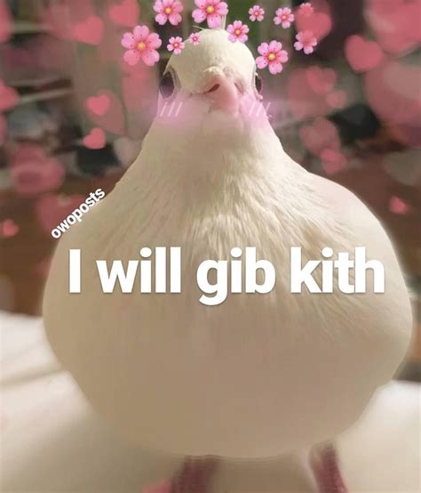 I Want To Gib Kith Cute Love Memes Crush Memes Wholesome Pictures