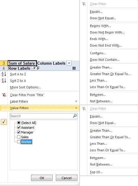 Excel 2010 Exercise On Pivottable