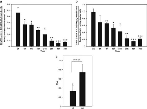 1 25 Oh 2d3 Represses Expression Of Brip1 Through The E2f Binding