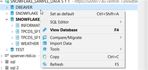 Hide Not Relevant Schemas In Projects Tree · Issue 18319 · Dbeaver