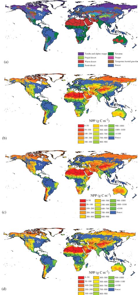 Global Spatial Pattern Of The Potential Biome And The Grassland Npp For