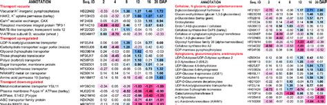 Ratios Of Gene Expression In The Endosperm Fraction S20iwild Type