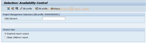 CJ SAP Tcode Availability Control Overview