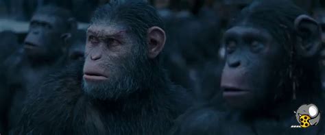 سینمایی ظهور سرزمین میمون ها سینمایی جدید فیلو