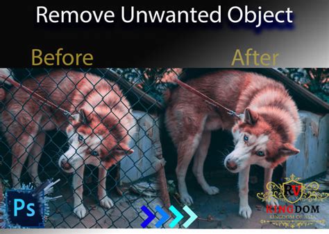 Unwanted Remove Object From Photo By Photoshop Editing Completion Of Task Hrs By Gihan Rv